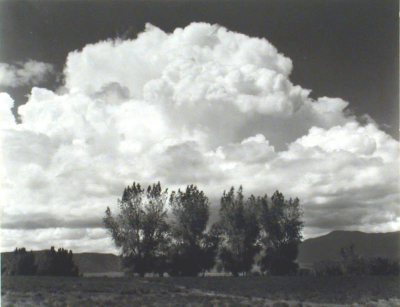 Edward Weston – People – eMuseum