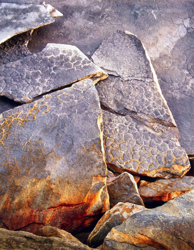 Mud Cracks in Sandstone, Pictured Rocks National Lakeshore – Works ...