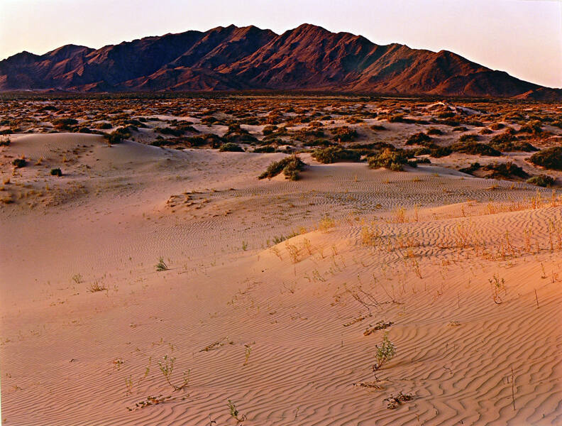 Medanos y Sierra Samalayuca, Chihuahua, Mexico (from the portfolio El ...
